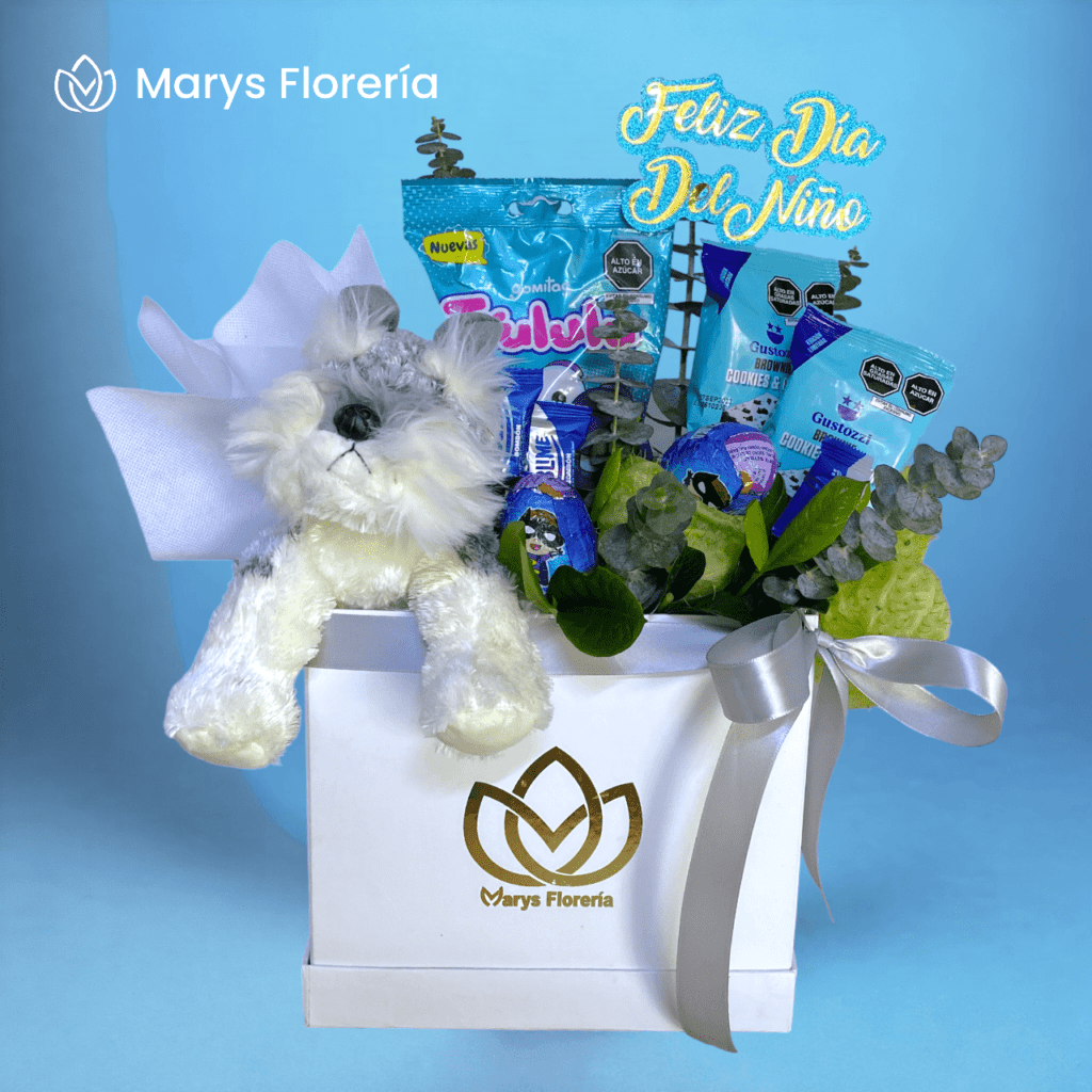 BOX SORPRESA DÍA DEL NIÑO - Marys Florería